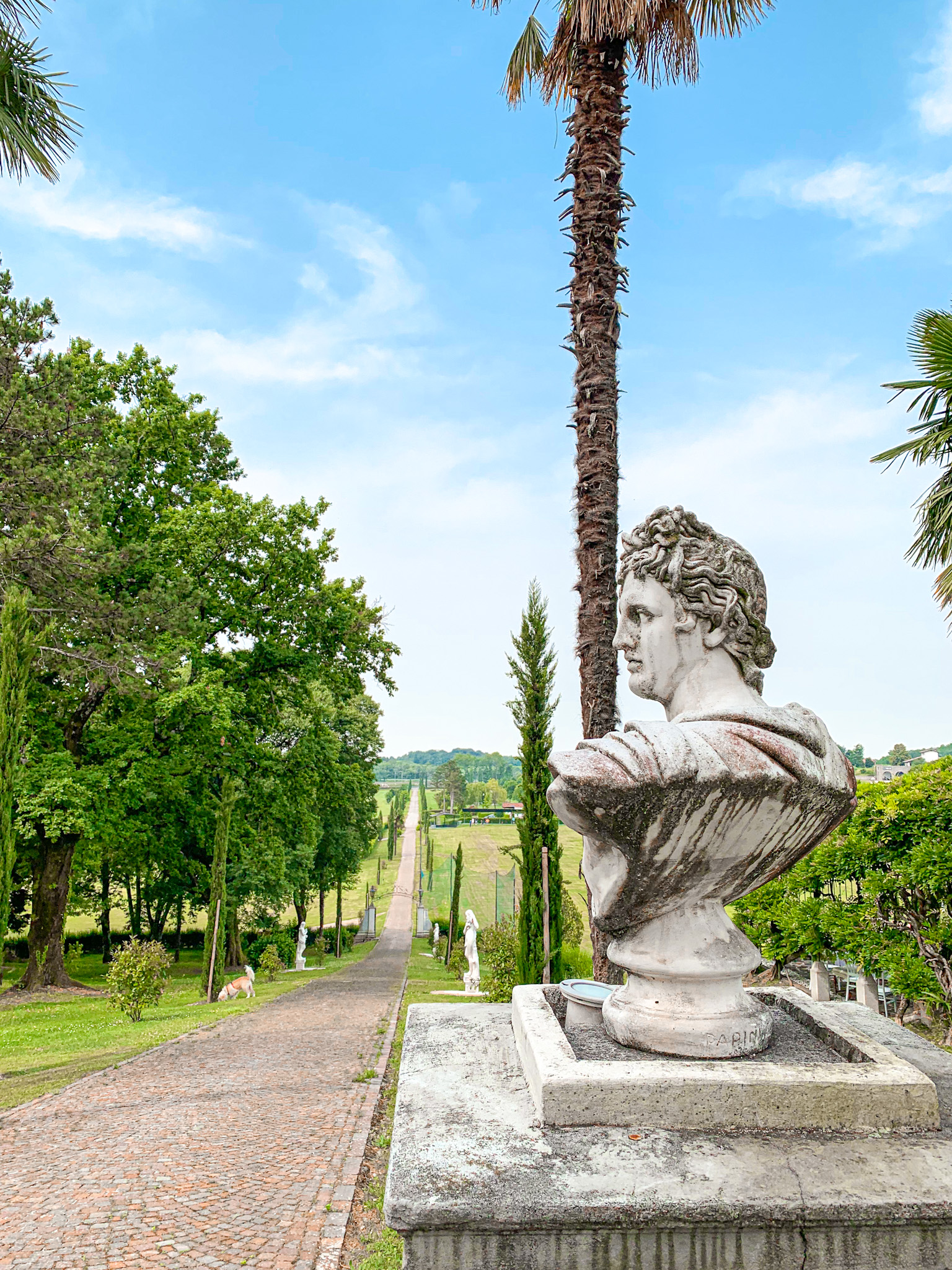 Il Collio friulano e il Castello di Spessa - Viaggio ConTigo
